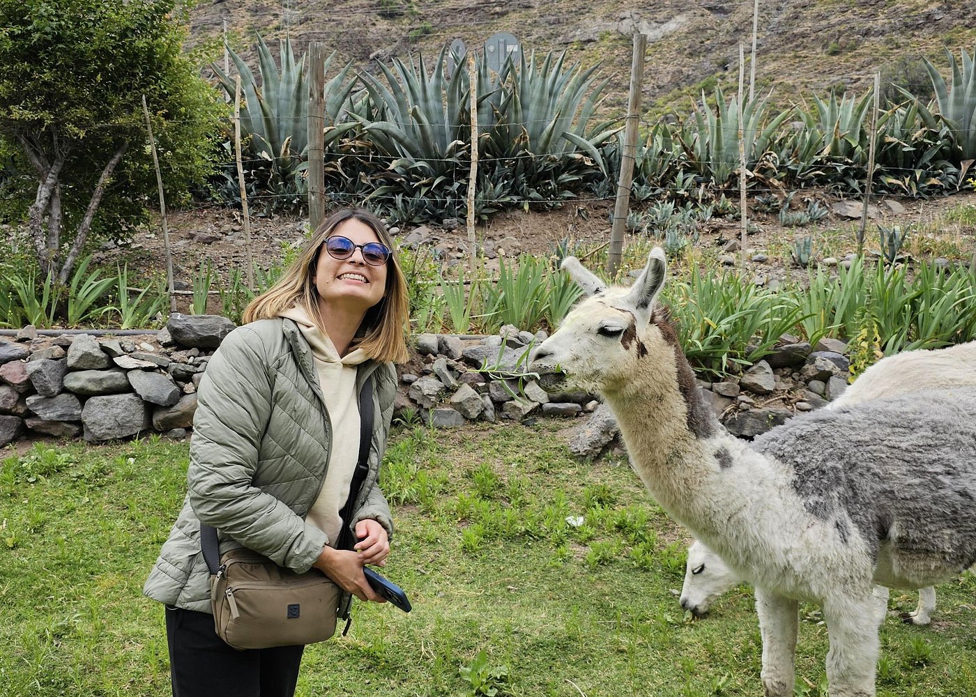Andes Range Tour at Inca Lagoon & InSitu Winery Snack Included